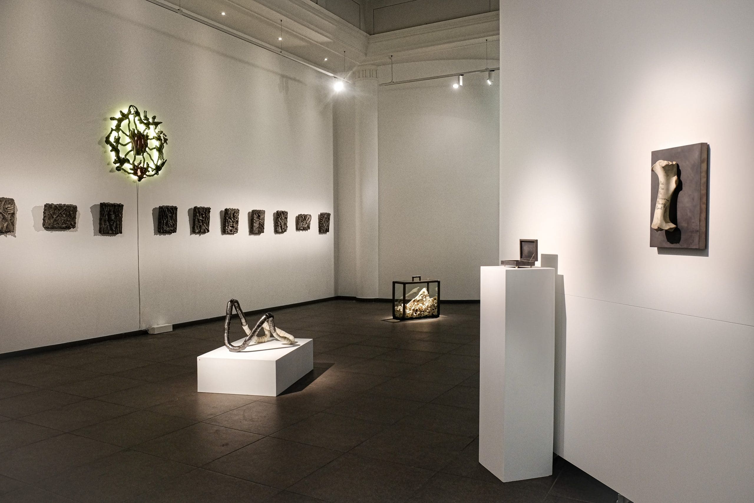 David Décamp - Gallery La Forest Divonne